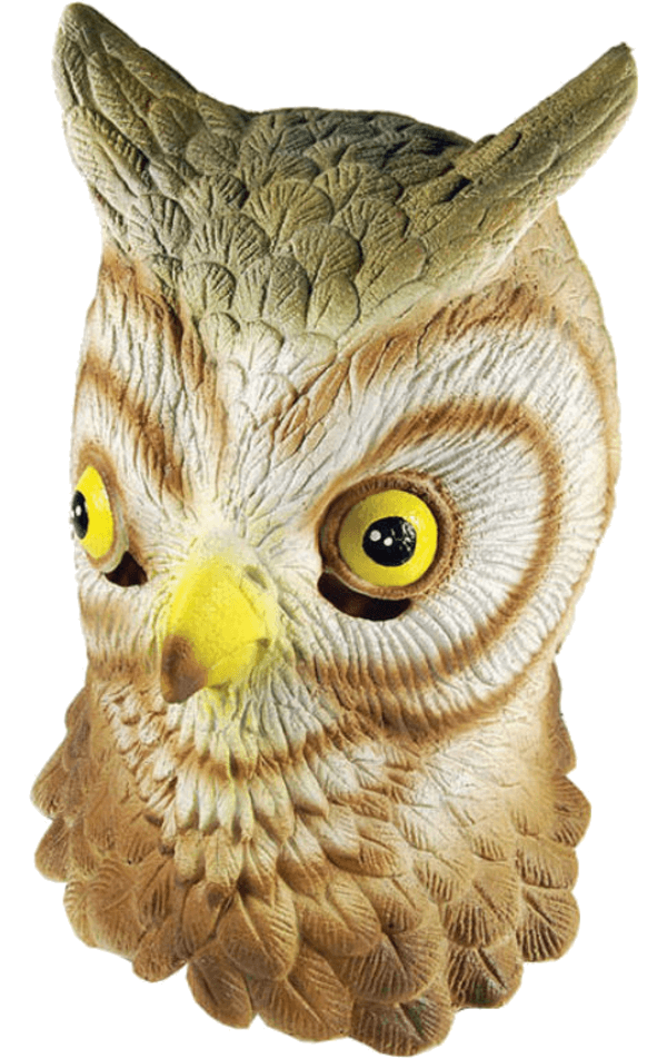 Adult Owl Mask – Angels Fancy Dress Warehouse